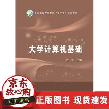 C大学计算机基础   赵平
