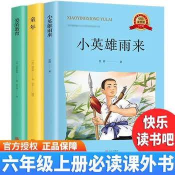 童年+爱的教育+小英雄雨来（3本套装） 六年级 课外阅读小学生儿童文学读物 快乐读书吧