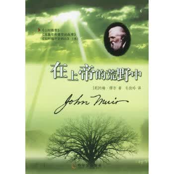 在上帝的荒野中【正版图书】