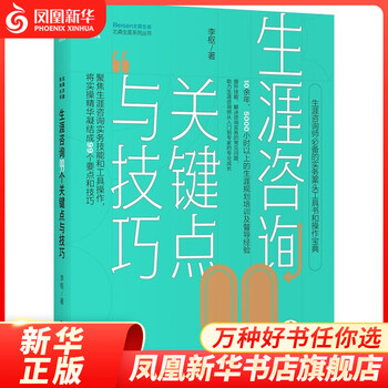 生涯咨询99个关键点与技巧 李枢著