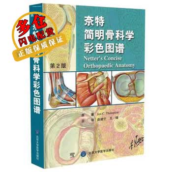 奈特简明骨科学彩色图谱 Jon C.Tho,pson 著 赵建宁 等 译 外科学 WX
