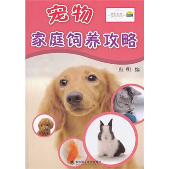 金色乡村宠物家庭饲养攻略