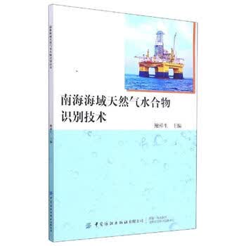 南海海域天然气水合物识别技术 图书