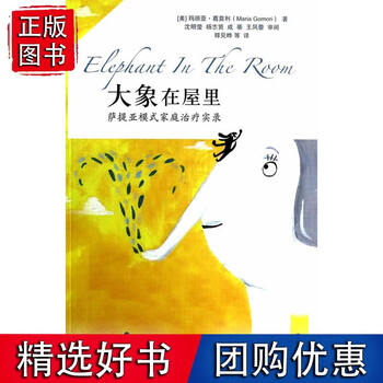 大象在屋里-萨提亚模式家庭治疗实录
