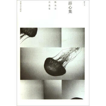 游心集:陈众议自选集 陈众议