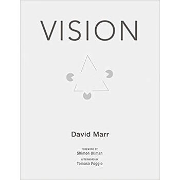 Vision