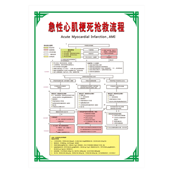 医院制度急救程序挂图过敏性休克抢救流程图示意图墙贴纸WSB169 WSB169-26 50*70cm  PP覆膜贴纸