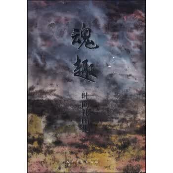 魂趣：叶向礼画集 叶向礼 绘 人民美术出版社 9787102065793