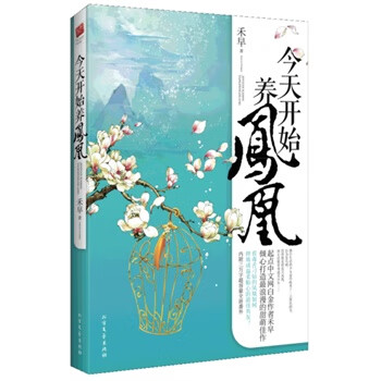 今天开始养凤凰