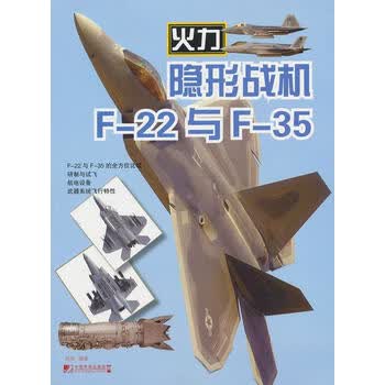隐形战机F22与F35