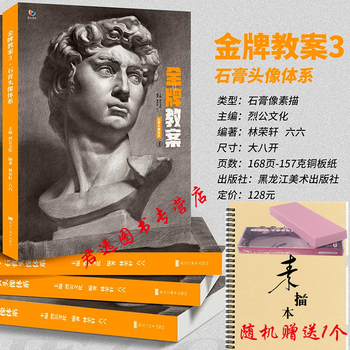 金牌教案3石膏头像体系 2021烈公文化林荣轩六六人物五官头骨肌肉石膏像铺色揉擦团块完整稿步骤对照范