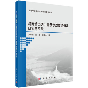 河流动态纳污量及水质传递影响研究与实践