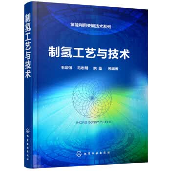 氢能利用关键技术系列--制氢工艺与技术 毛宗强,毛志明,余皓等 9787122317070