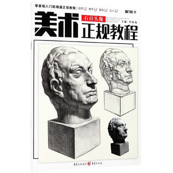 石膏头像(美术正规教程)/敲门砖
