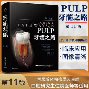 牙髓之路第11版十一版T牙体牙髓病学临床牙髓再生技术口腔医学类专业书籍牙髓治疗根管治疗图谱 辽宁科
