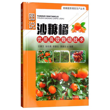 图说沙糖橘高效栽培技术 社级市场书 果树种植技术书籍大全果树修剪与管理 砂糖橘沙糖桔栽培技术书柑橘橘