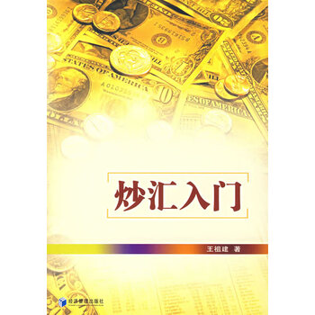 炒汇入门【正版图书】