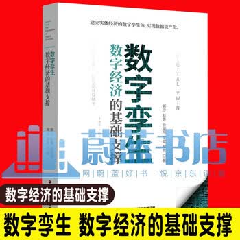 数字孪生 数字经济的基础支撑 智能经济书籍 郭沙赵勇谷瑞翔李斌郝放 中国财富出版社