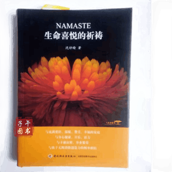 正版NAMASTE生命喜悦的祈祷   中国轻工业出版社正版图书