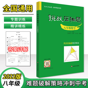 挑战压轴题八年级数学上下精讲精练专题同步练习册初中数学刷题选择填空解答大题突破解策略AB卷期中期末