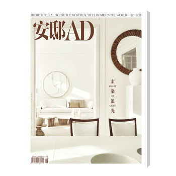 安邸AD 时尚家居 21年9月刊 素染追光