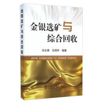 金银选矿与综合回收 孙长泉 孙成林编著
