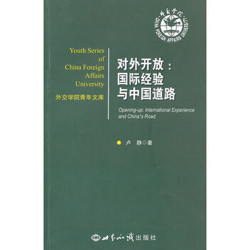 对外开放:国际经验与中国道路 卢静