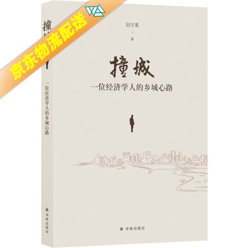 撞城：一位经济学人的乡城心路