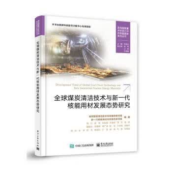 全球煤炭清洁技术与新一代核能用材发展态势研究【保证正版】