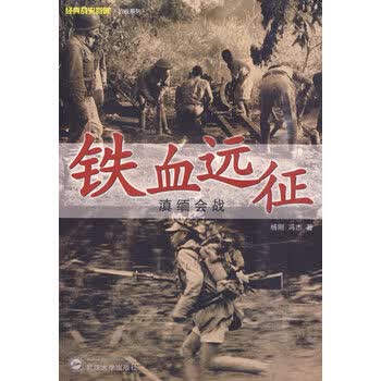 铁血远征:滇缅会战
