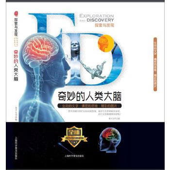 奇妙的人类大脑 曾才友