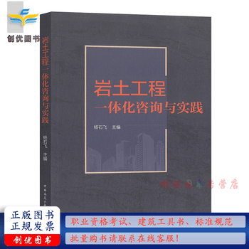岩土工程一体化咨询与实践 中国建筑工业出版社