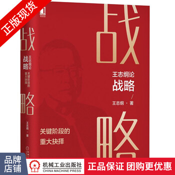 正版 王志纲论战略:关键阶段的重大抉择 王志纲8082982