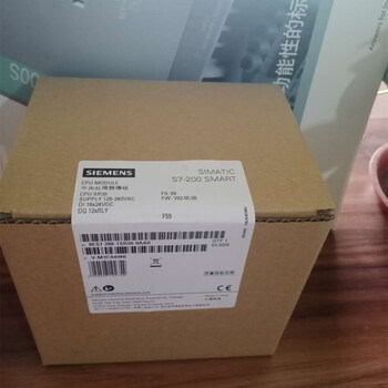 S7-200SMART可编程控制器CPU模块SR ST CR 20 30 40 60 PLC 6ES7288-1SR20-0AA0/1【图片 ...
