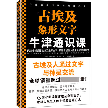 牛津通识课 古埃及象形文字 英 佩内洛普·威尔逊著颜海英译 古埃及文明圣书体圣书字埃及语神庙铭文符号