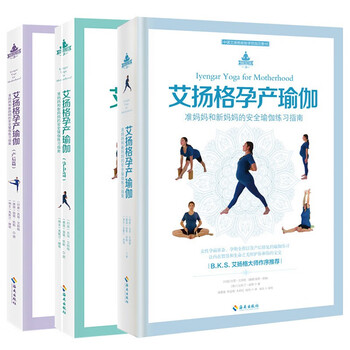正版 艾扬格孕产瑜伽共3册 孕中篇+产后篇 准妈妈和新妈妈的安全瑜伽练习指南 瑜伽形体训练孕妇胎