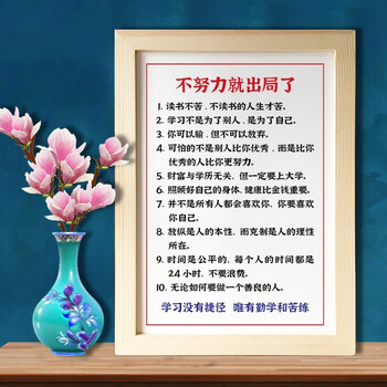 写给儿子的话 激励孩子独立上进女儿励志书画书房摆台挂墙画框学生座右铭实木相框UTK UTK29学习没有捷径不努力就出局了 A5(可摆可挂)