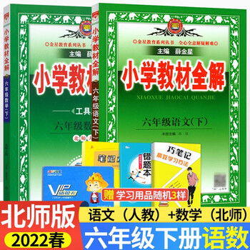 2022薛金星小学教材全解六年级下册语文人教数学北师大版2本 6年级下工具书
