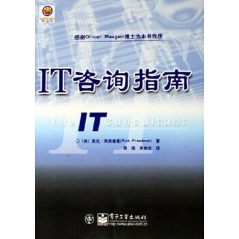 solvento IT丛书:IT咨询指南【正版图书】