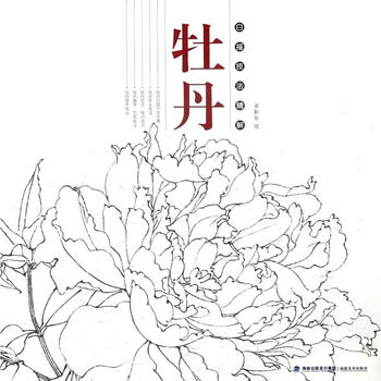 牡丹白描技法精解