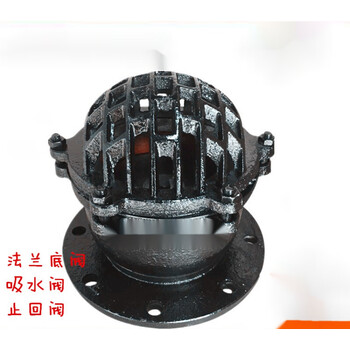 H42X-6法兰底阀 单向阀止回阀 铸铁水泵底阀DN50 80 100 150 200 DN125 国标10公斤【图片 价格 品牌 报价】-京东