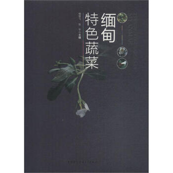缅甸特色蔬菜