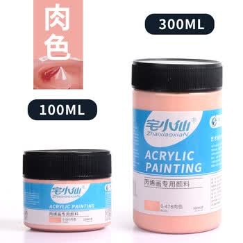 丙烯颜料防水手绘画材料diy墙绘彩绘工具24色画鞋子12色300ml白色炳稀染料不掉色儿童涂鸦丙 肉色 100ml