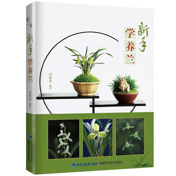 新手学养兰养花兰花种植养殖技术中国兰花全书 鉴赏 栽培要点  操作方法  养花知识   兰花书籍大全