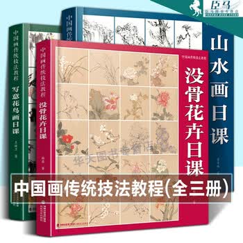 【附视频教学】中国画传统技法教程全3册 没骨花卉日课/山水画日课/写意花鸟画日课 国画山水花鸟画从入门到精通