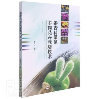 番杏科常见多肉花卉栽培技术姜自红合肥工业大学出版社有限责任公司9787565051753 农业/林业