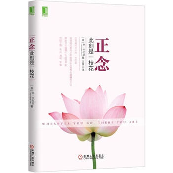 正念：此刻是一枝花 （美）乔·卡巴-金（Jon Kabat-Zinn）著,王 978711