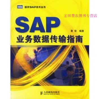 SAP业务数据传输指南 黄佳