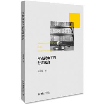 实践视角下的行政法治 北京大学旗舰店正版