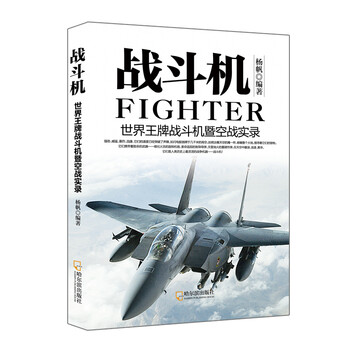 战斗机 杨帆 哈尔滨出版社【正版图书】
